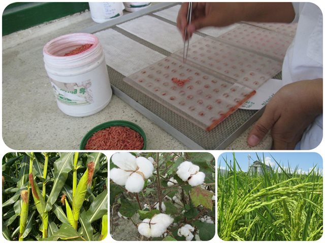 Instituto Colombiano Agropecuario - ICA