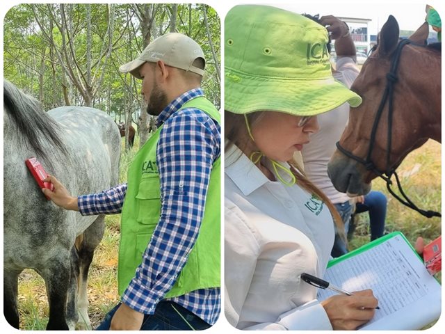 Instituto Colombiano Agropecuario - ICA