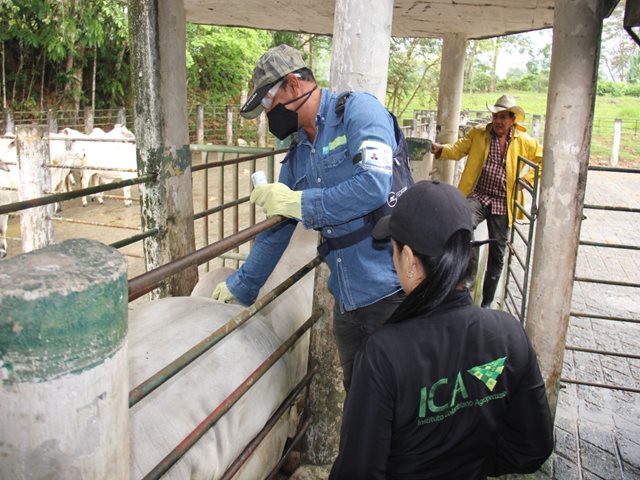 Instituto Colombiano Agropecuario - ICA