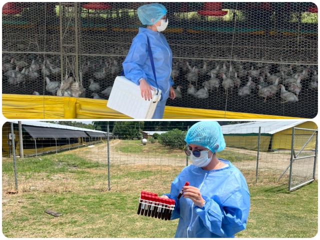 Instituto Colombiano Agropecuario - ICA