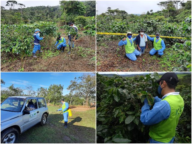 Instituto Colombiano Agropecuario - ICA
