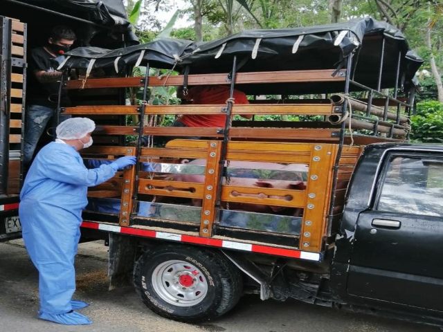 Instituto Colombiano Agropecuario - ICA
