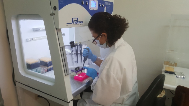 Instituto Colombiano Agropecuario - ICA