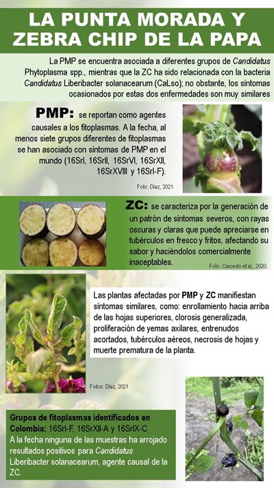 Comunicaciones del ICA - Instituto Colombiano Agropecuario