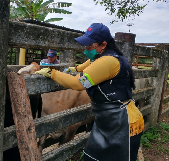 Instituto Colombiano Agropecuario - ICA